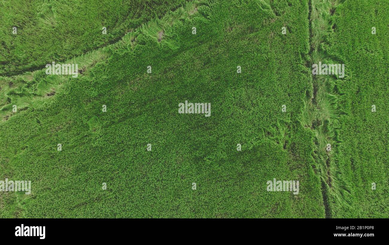 Rices map hi-res stock photography and images - Alamy