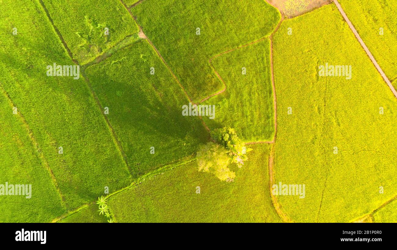 Rices map hi-res stock photography and images - Alamy