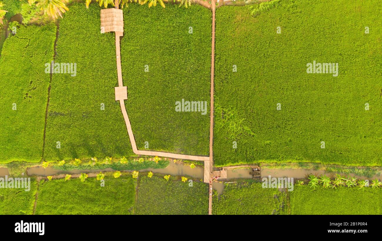 Rices map hi-res stock photography and images - Alamy