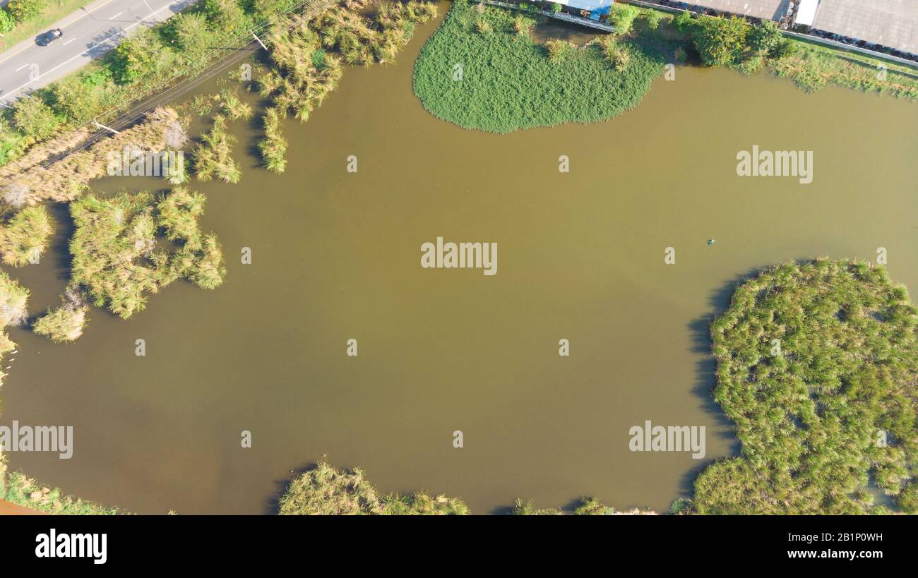 Aerial top view of big pond Stock Photo - Alamy