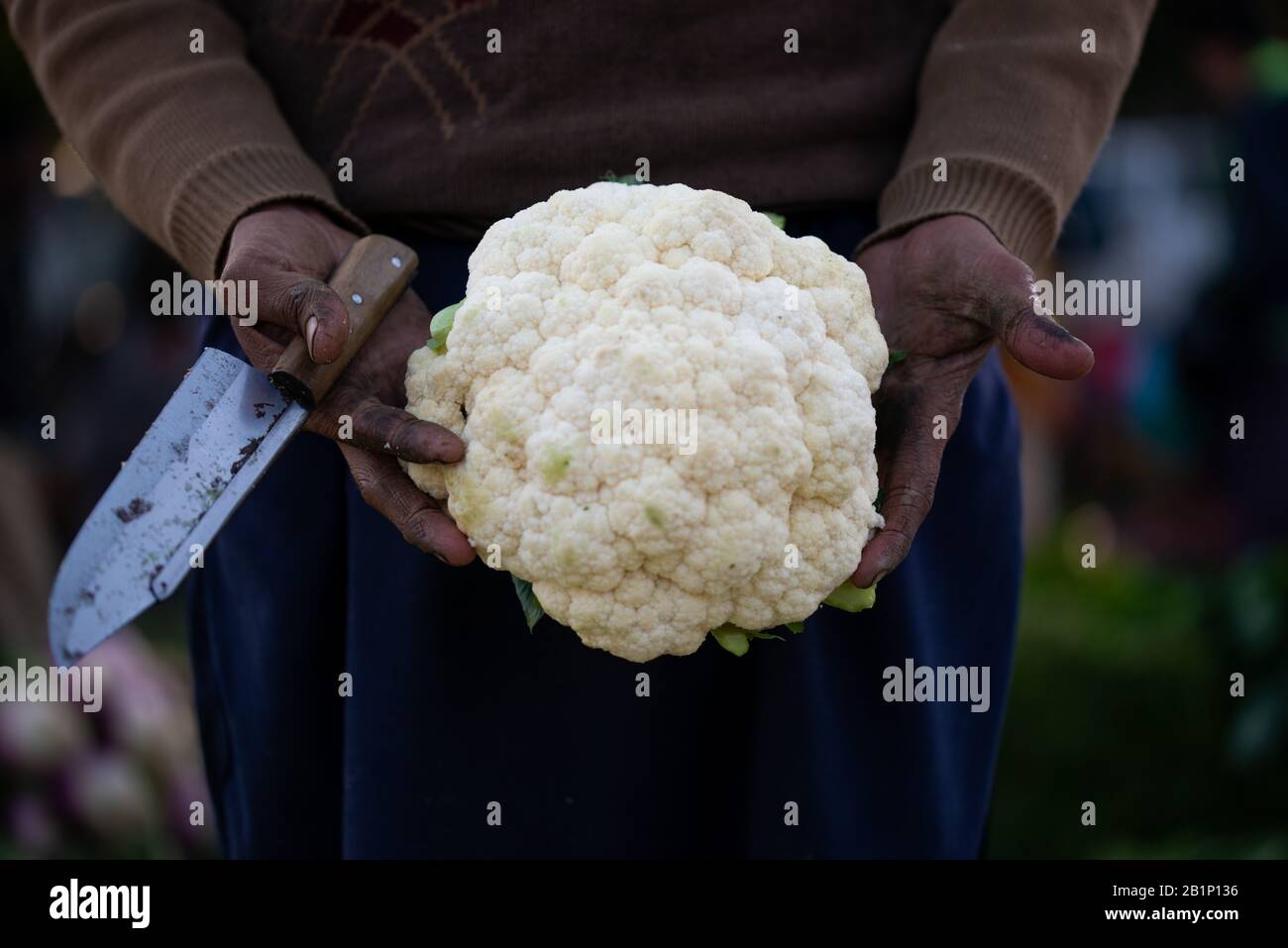 A man in vegetable market showing cauliflower to customers Stock Photo ...