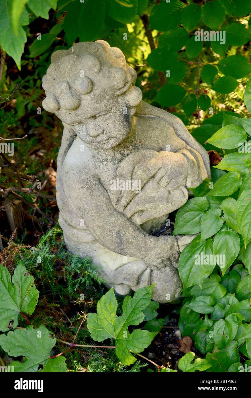 Vintage cherub statue nestled in garden foliage. Closeup Stock Photo ...