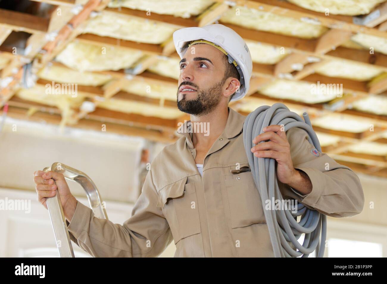 man in hard up in a ladder Stock Photo - Alamy