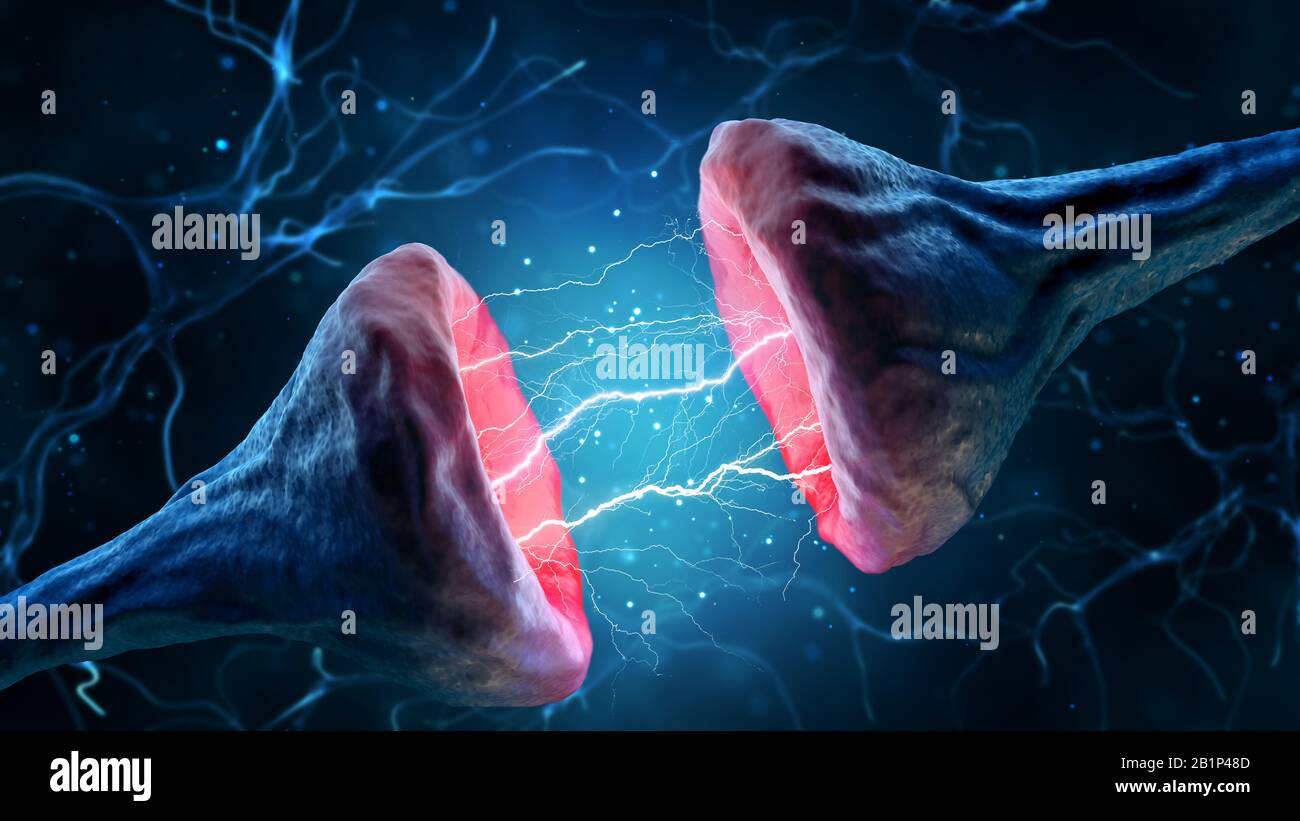 Neuron Synapse Wallpaper