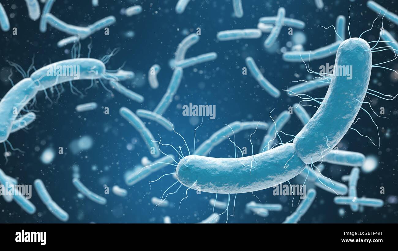 3D rendering bacteria closeup in blue background. 3d illustration Stock ...