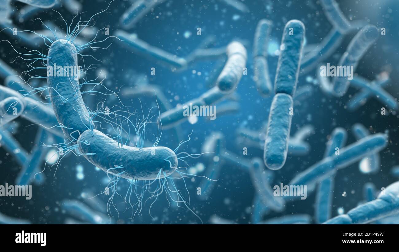 3D rendering bacteria closeup in blue background. 3d illustration Stock ...