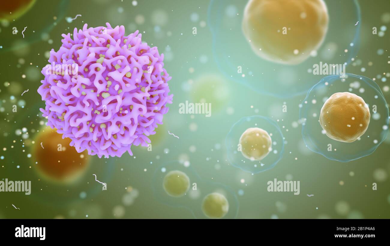 Human cell structure white background hi-res stock photography and ...