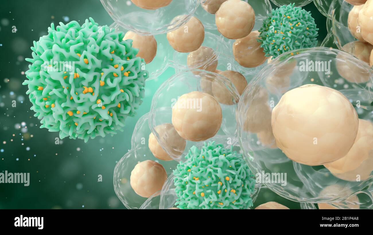 Human cell structure white background hi-res stock photography and ...