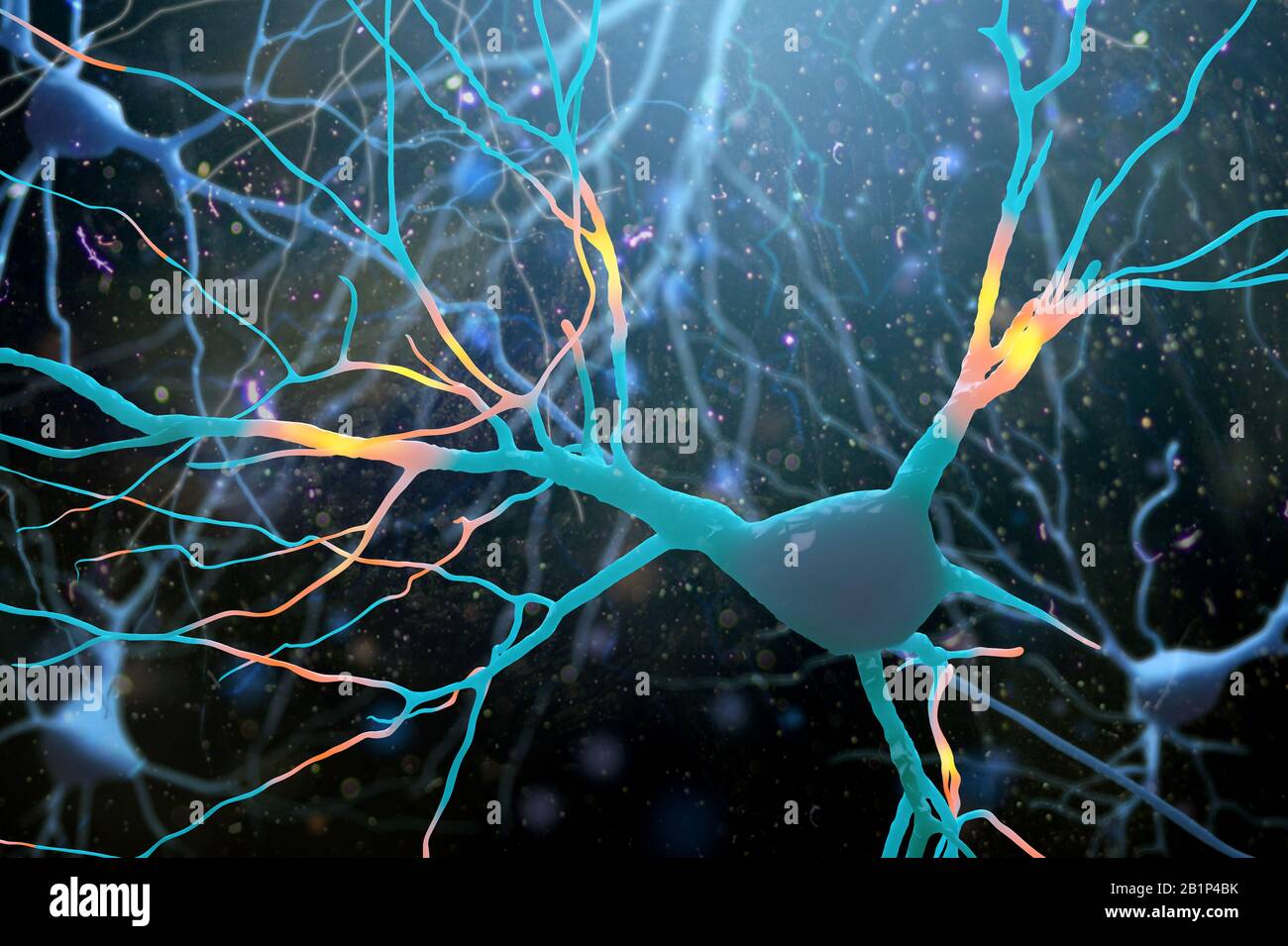 Nerve network human body hi-res stock photography and images - Alamy