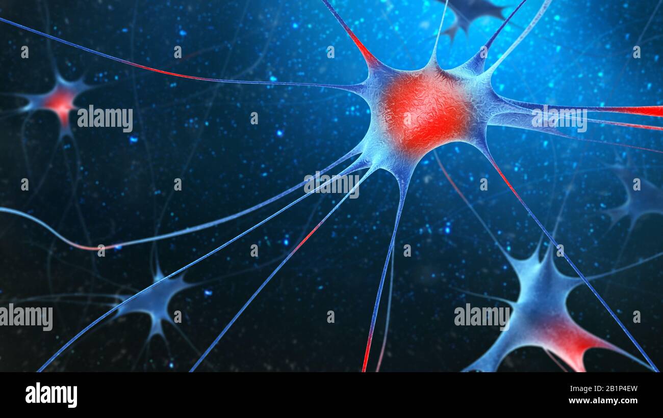3d render of nerve cells on blue background Stock Photo - Alamy