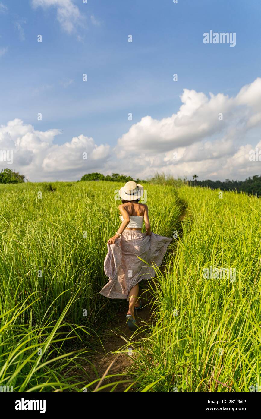 Running in rice field in bali hi-res stock photography and images - Alamy