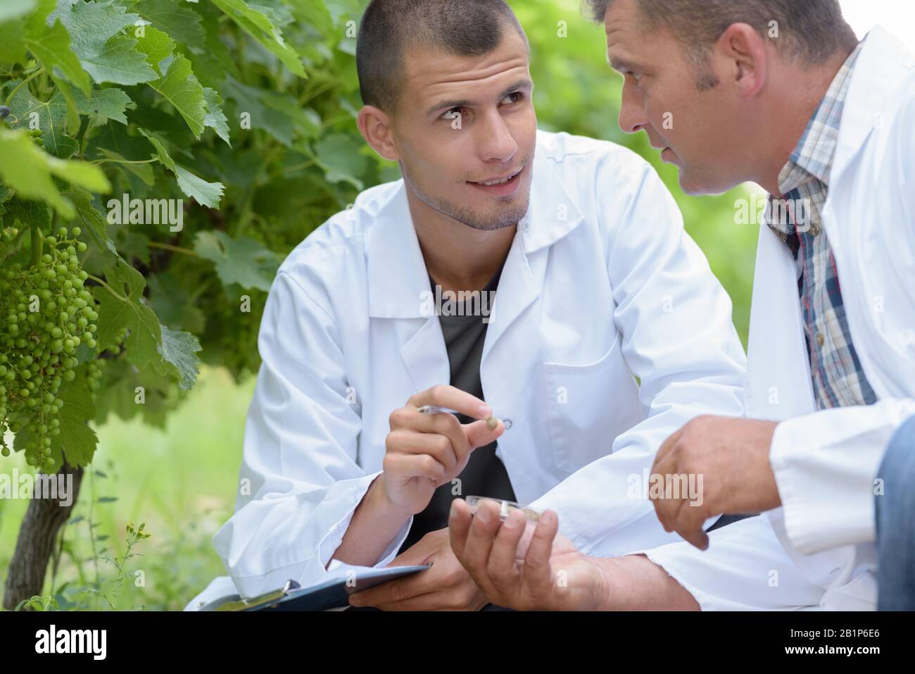 Testing plant samples hi-res stock photography and images - Alamy