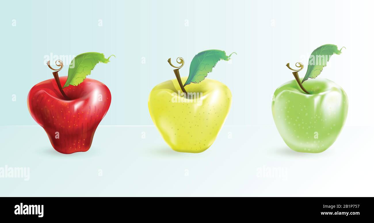 The illustration shows apples of different sort red green yellow ...