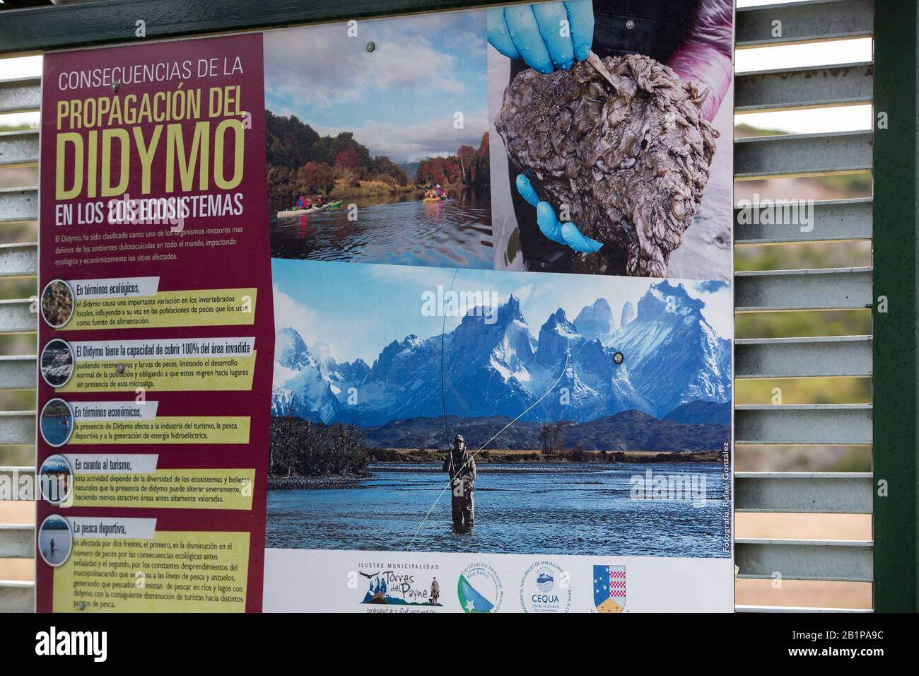 Signs for Didymo, a highly invasive non native species of algae that is ...