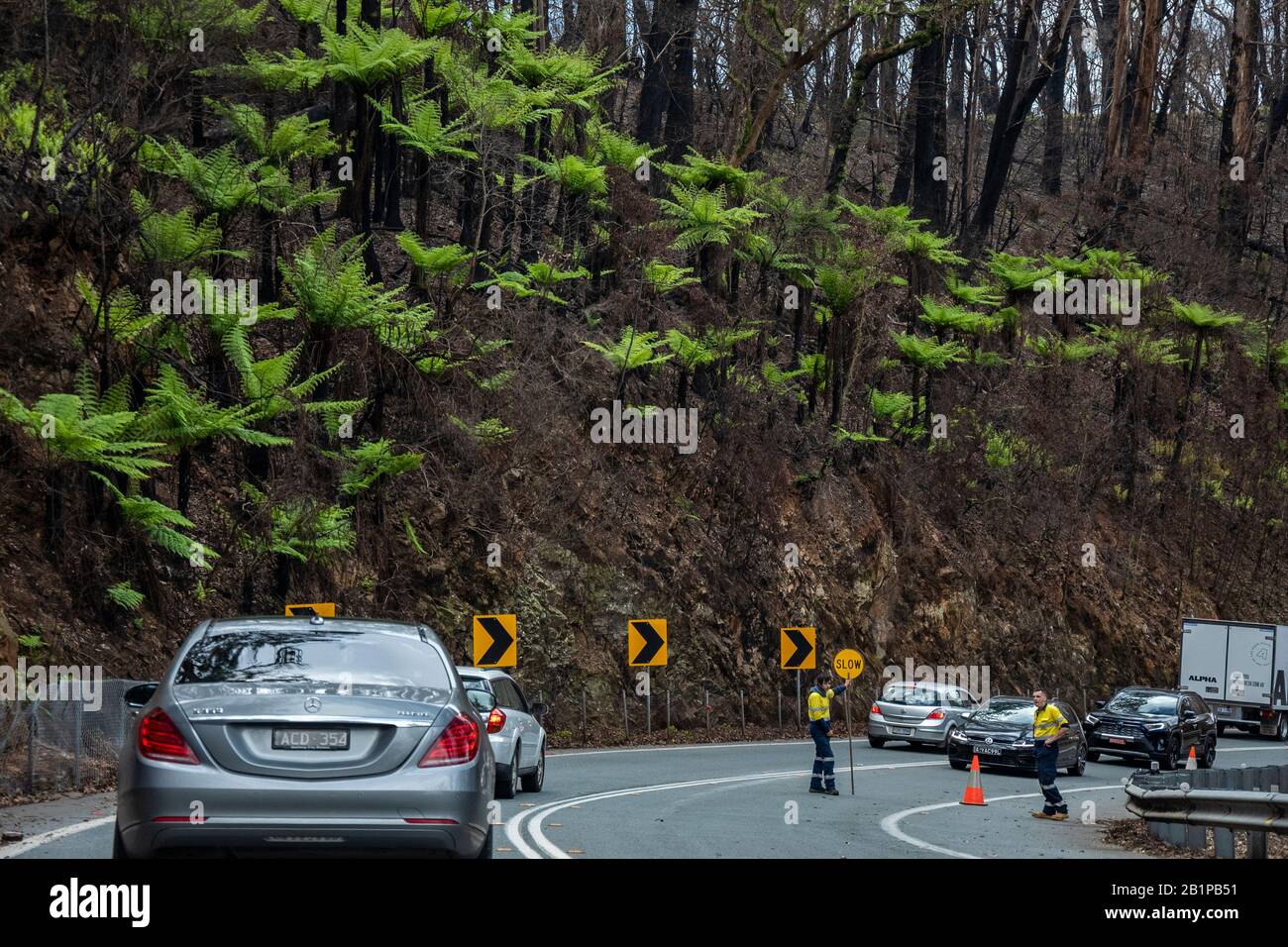 Australian Bushfire aftermath and recovery. Workers undertaking repair ...
