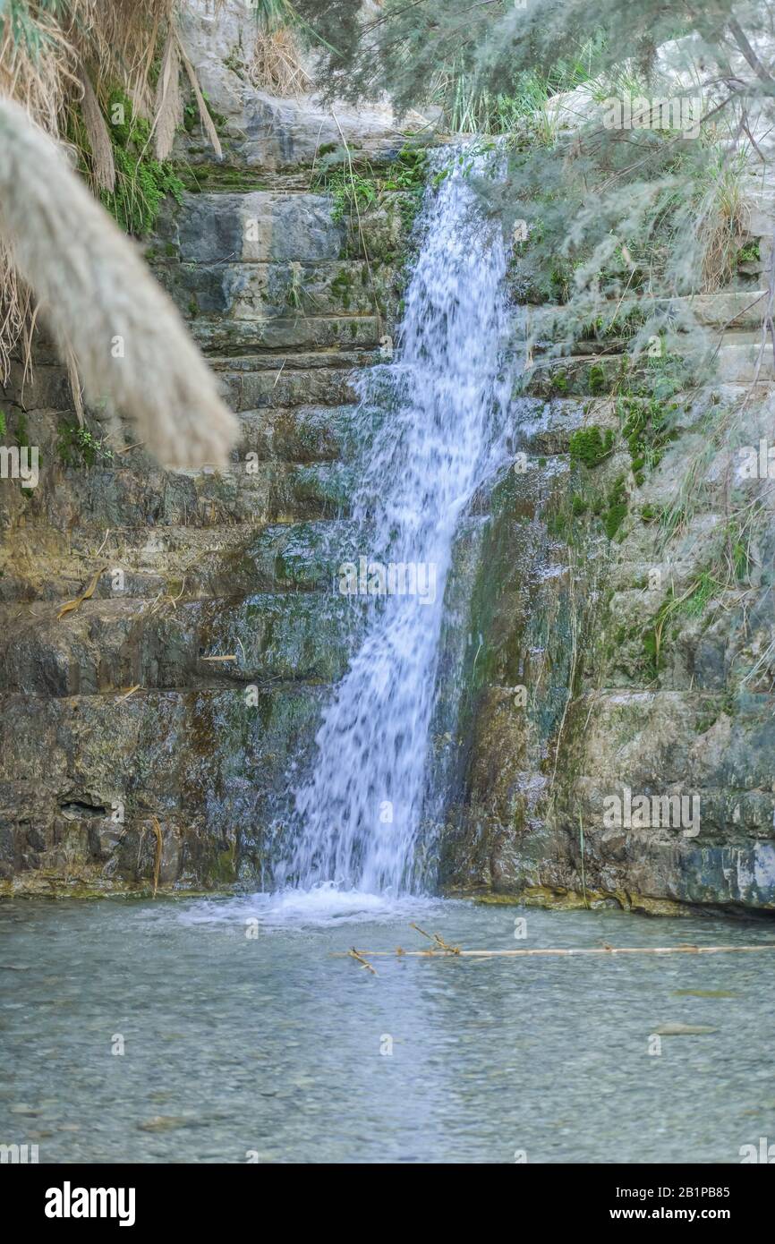 Davids Wasserfall, Wadi David, Naturreservat Ein Gedi, Israel Stock ...