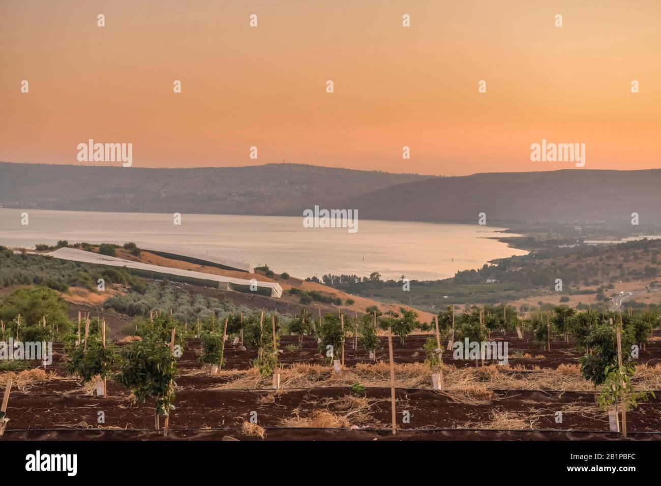 See Genezareth bei Tiberias, Israel Stock Photo - Alamy