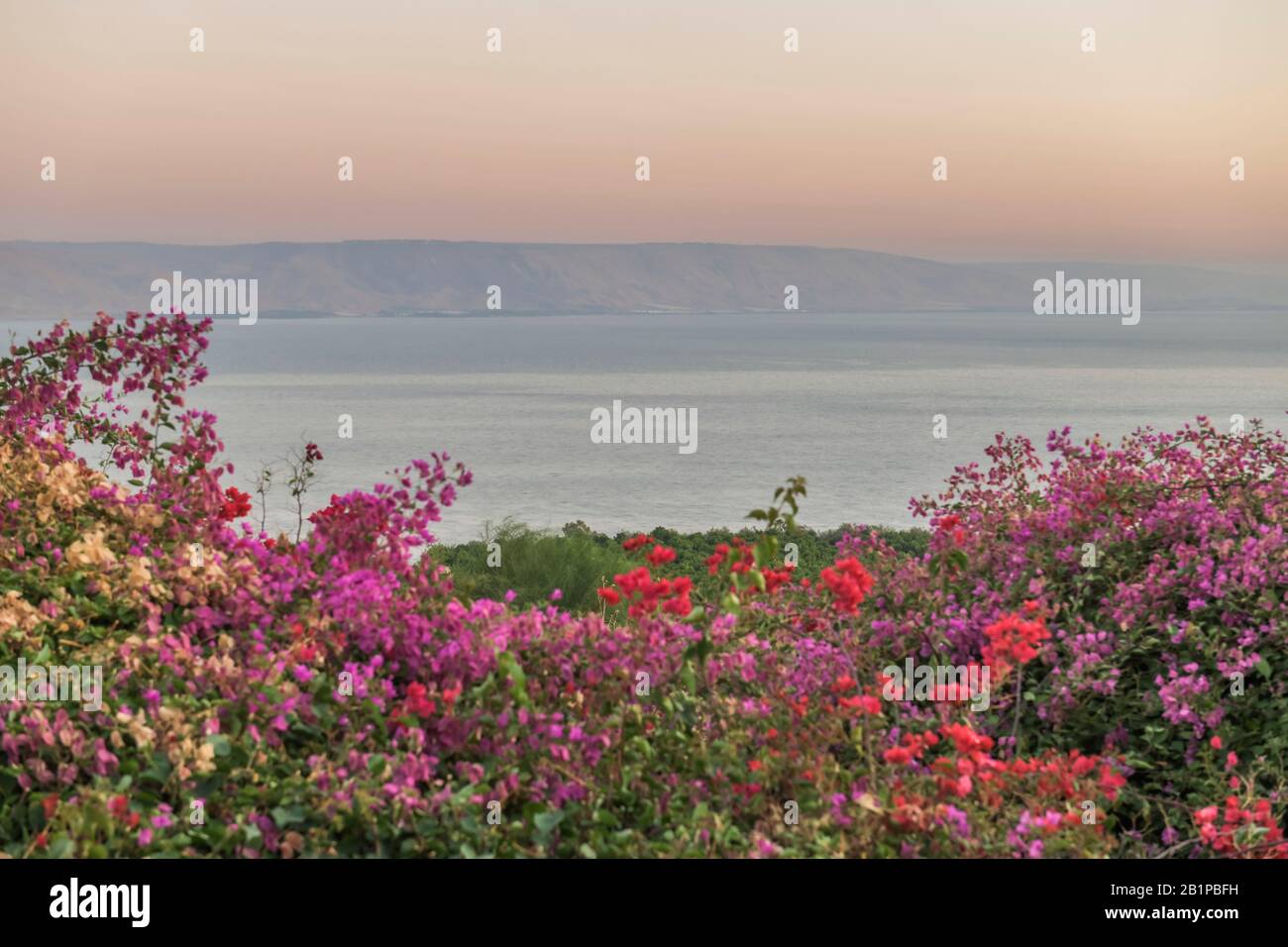 Genezareth hi-res stock photography and images - Alamy