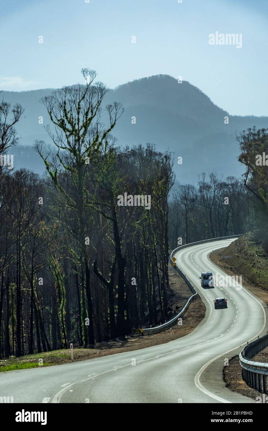 Australian Bushfire aftermath and recovery. Only weeks after the ...