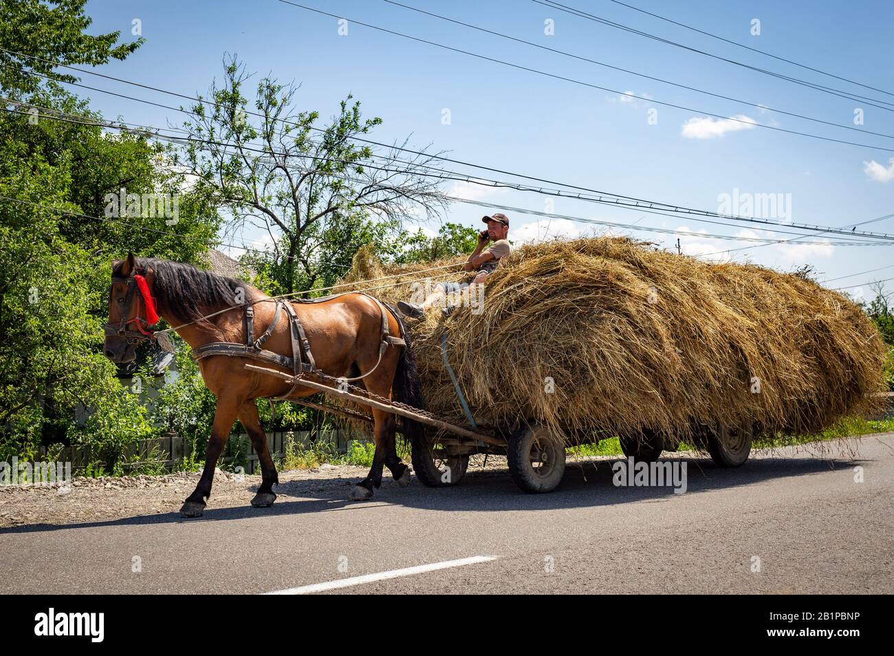 Horse Carriage Romania High Resolution Stock Photography and Images - Alamy