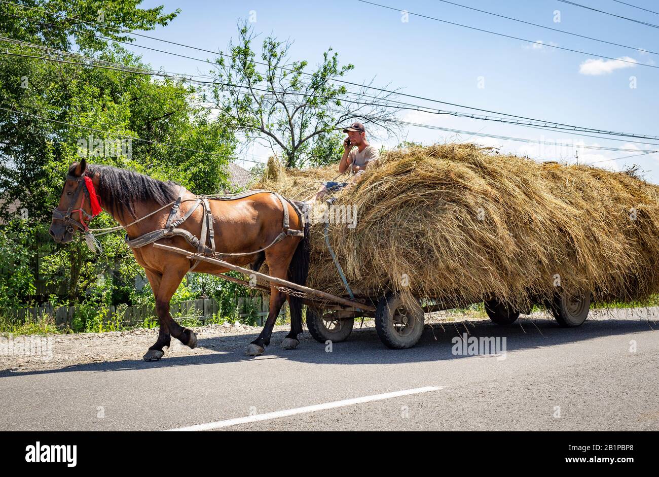 Bucovina / Romania - Romanian farmer on a cart Countryside in Romania ...