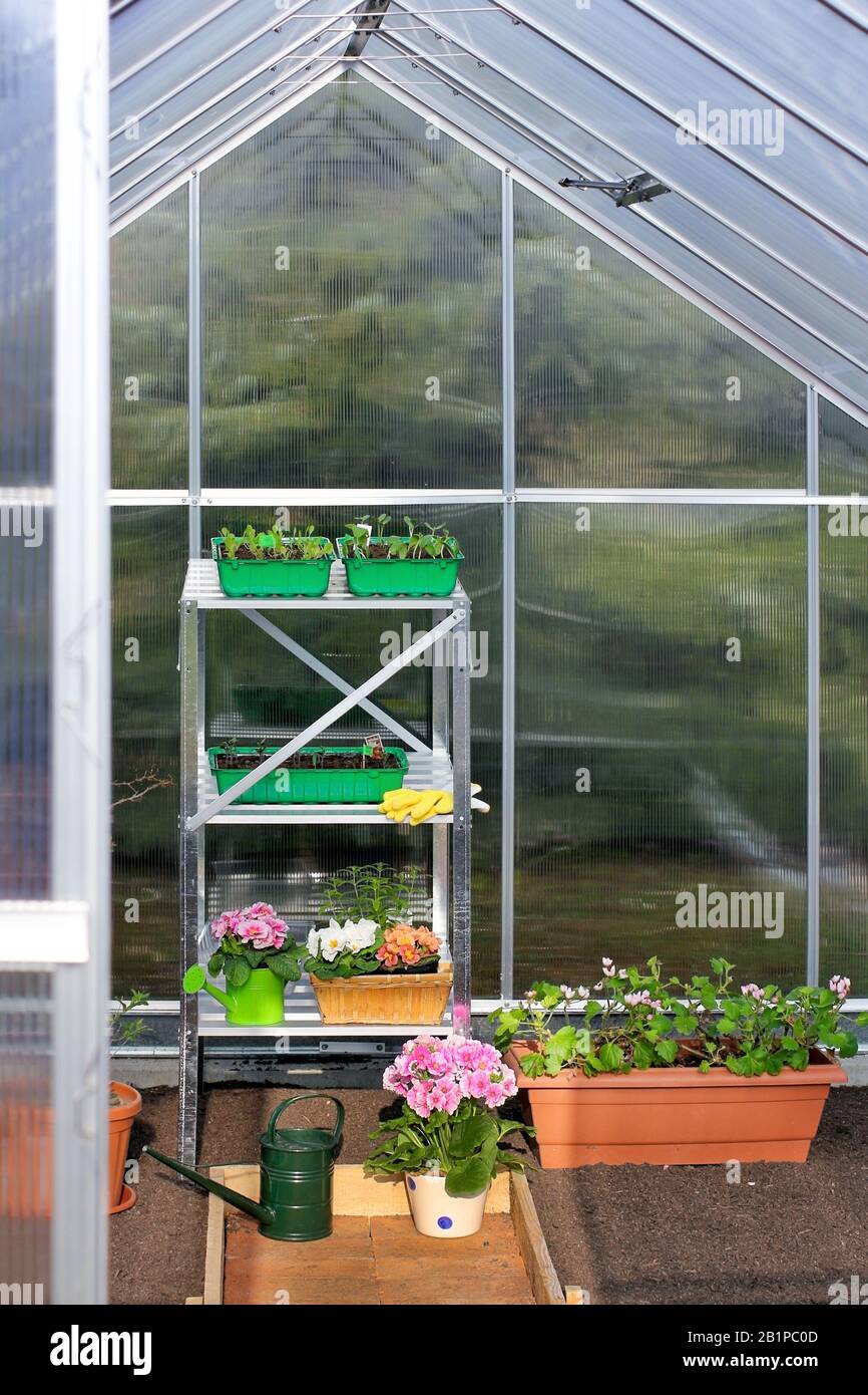 Open greenhouse window hi-res stock photography and images - Alamy