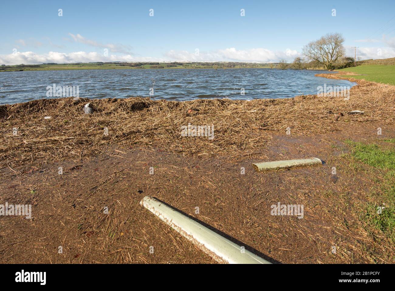 River Ribble floodplain Stock Photo - Alamy