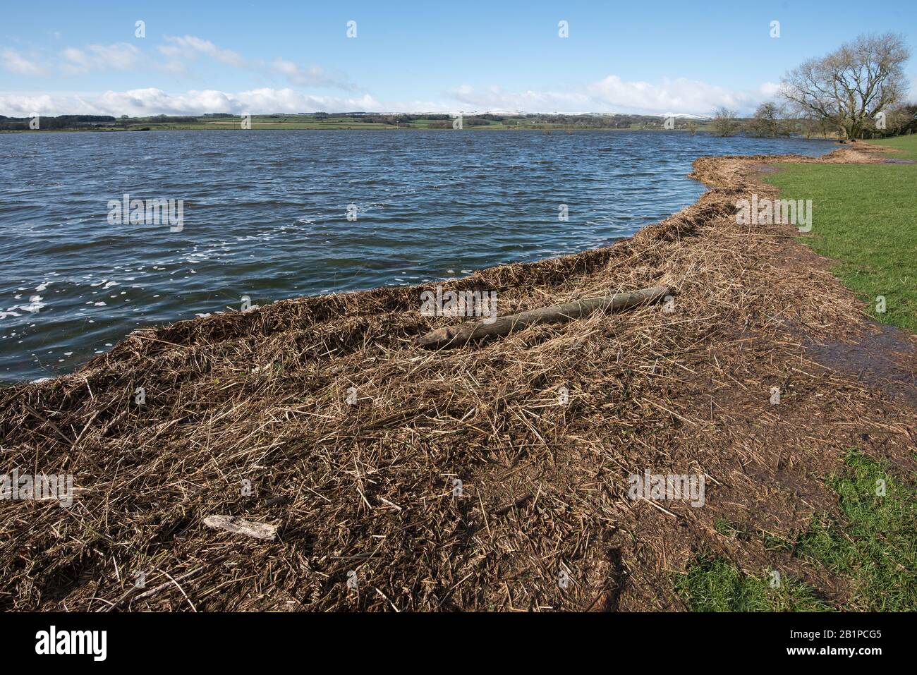 Ribble Floodplain High Resolution Stock Photography and Images - Alamy