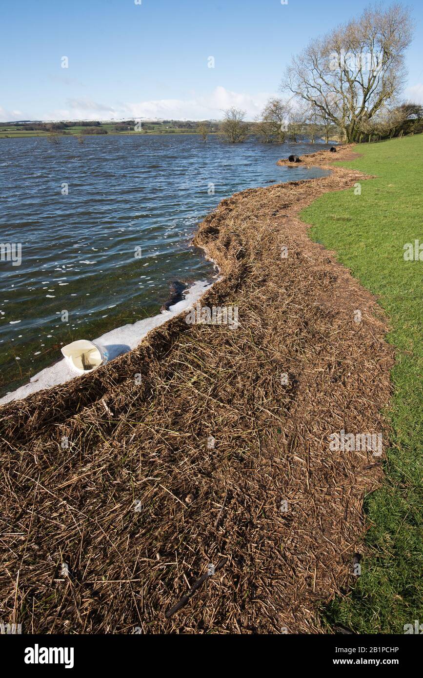 River Ribble floodplain Stock Photo - Alamy