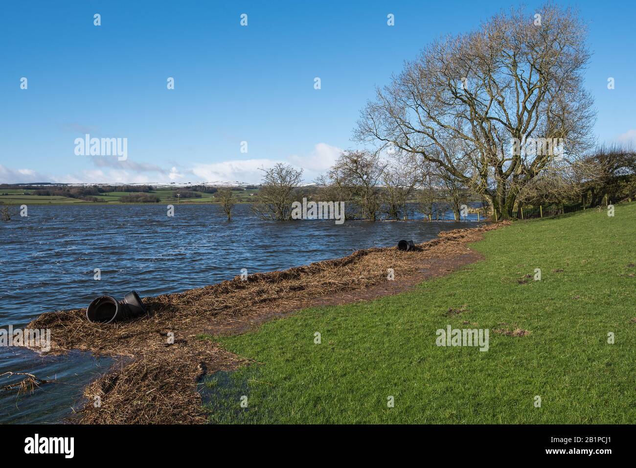 River Ribble floodplain Stock Photo - Alamy
