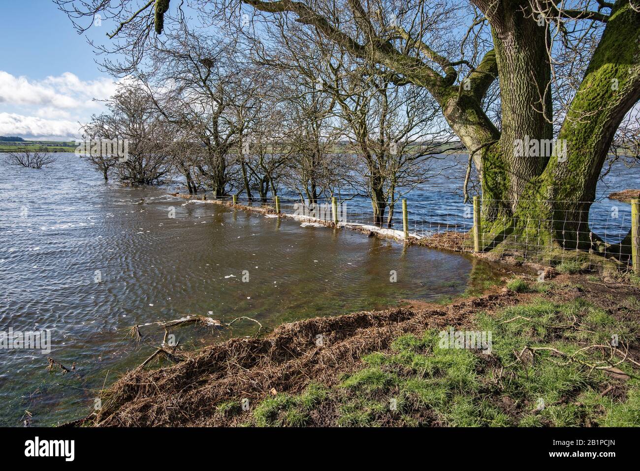 Ribble floodplain hi-res stock photography and images - Alamy
