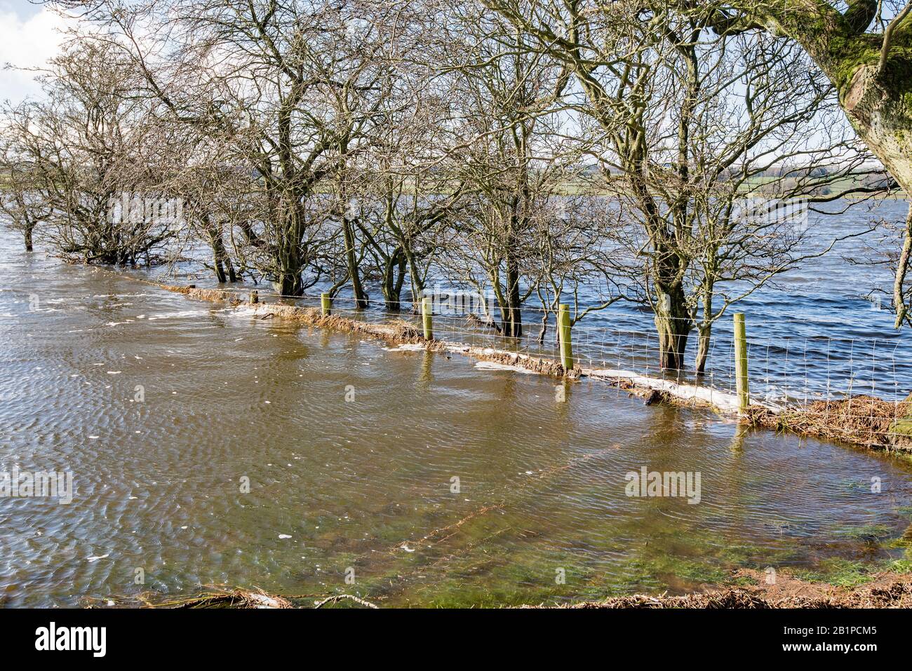 Ribble Floodplain High Resolution Stock Photography and Images - Alamy