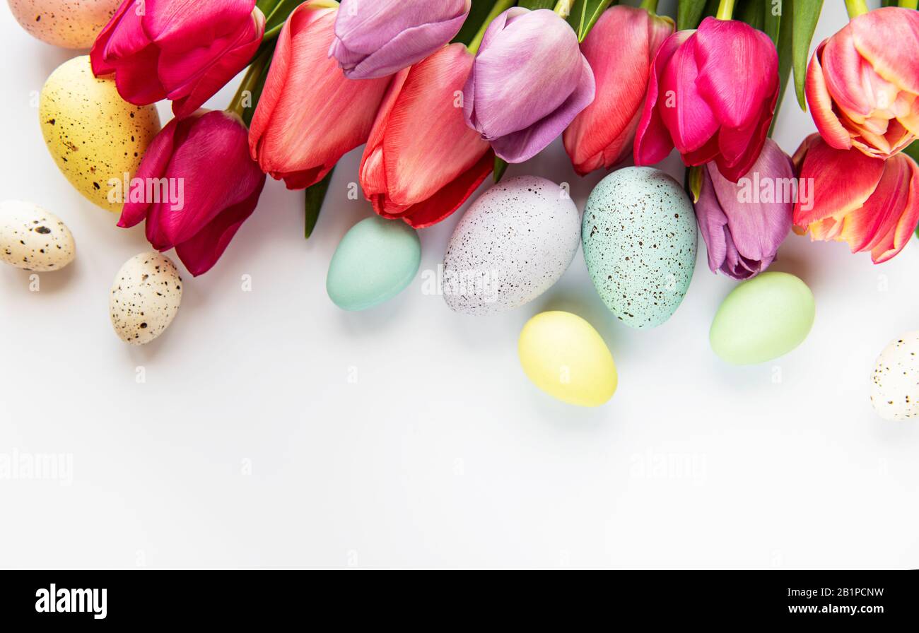 Spring tulips and Easter eggs on a white background Stock Photo - Alamy