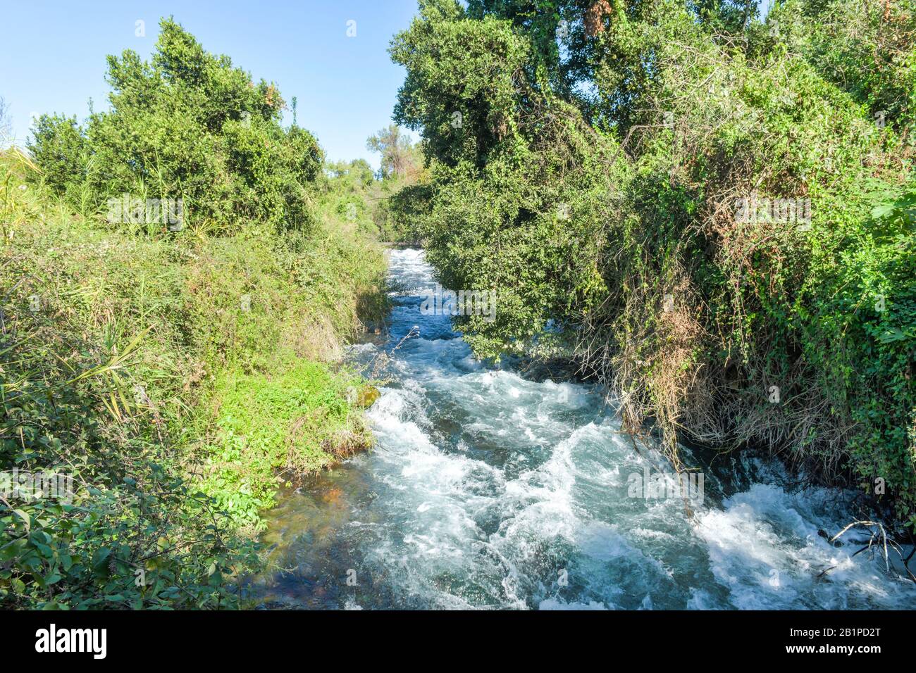 Bach Dan, Quellfluß des Jordan, Nationalpark Tel Dan, Israel Stock ...