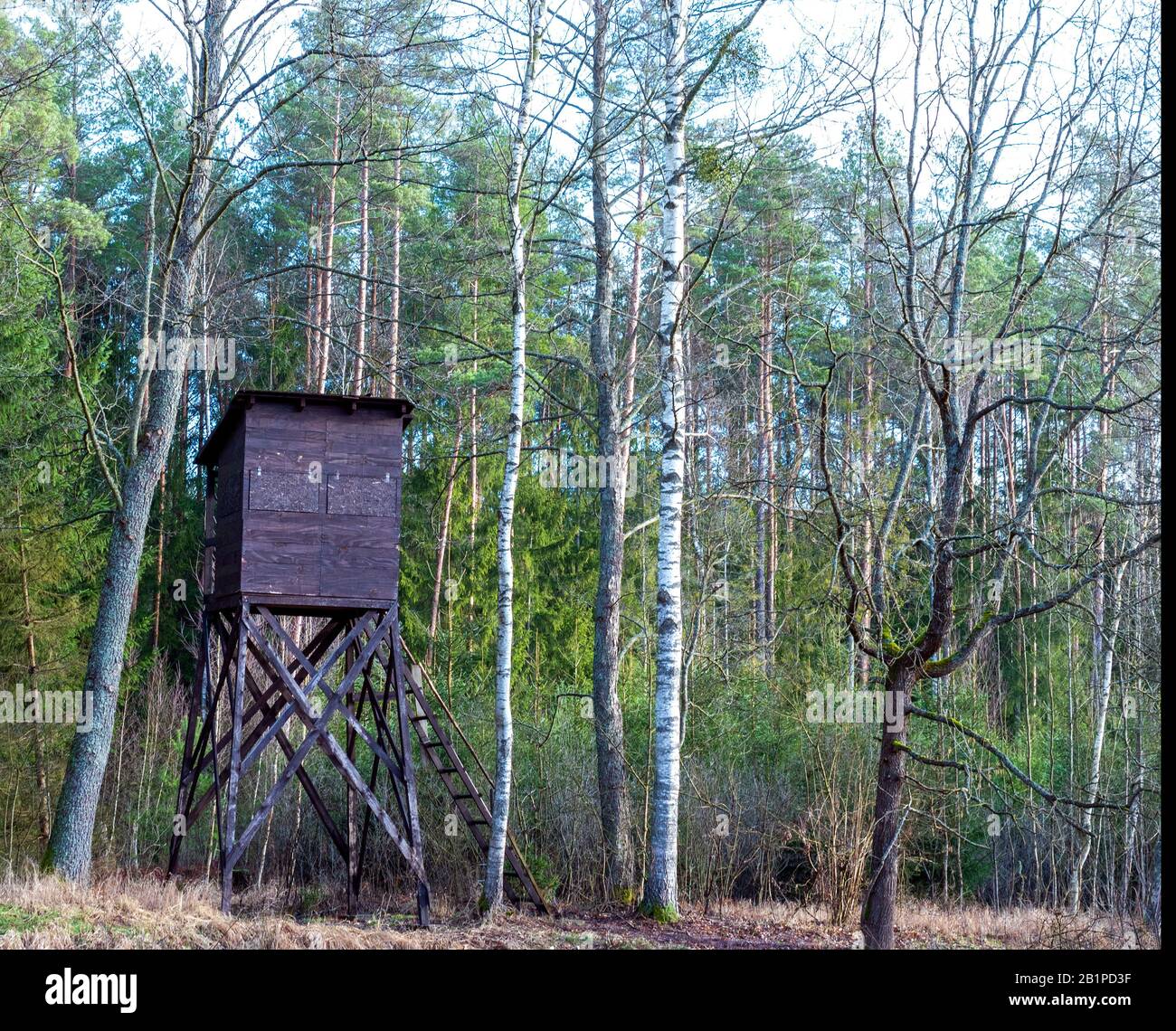 vintage hunter hut in forest Stock Photo - Alamy