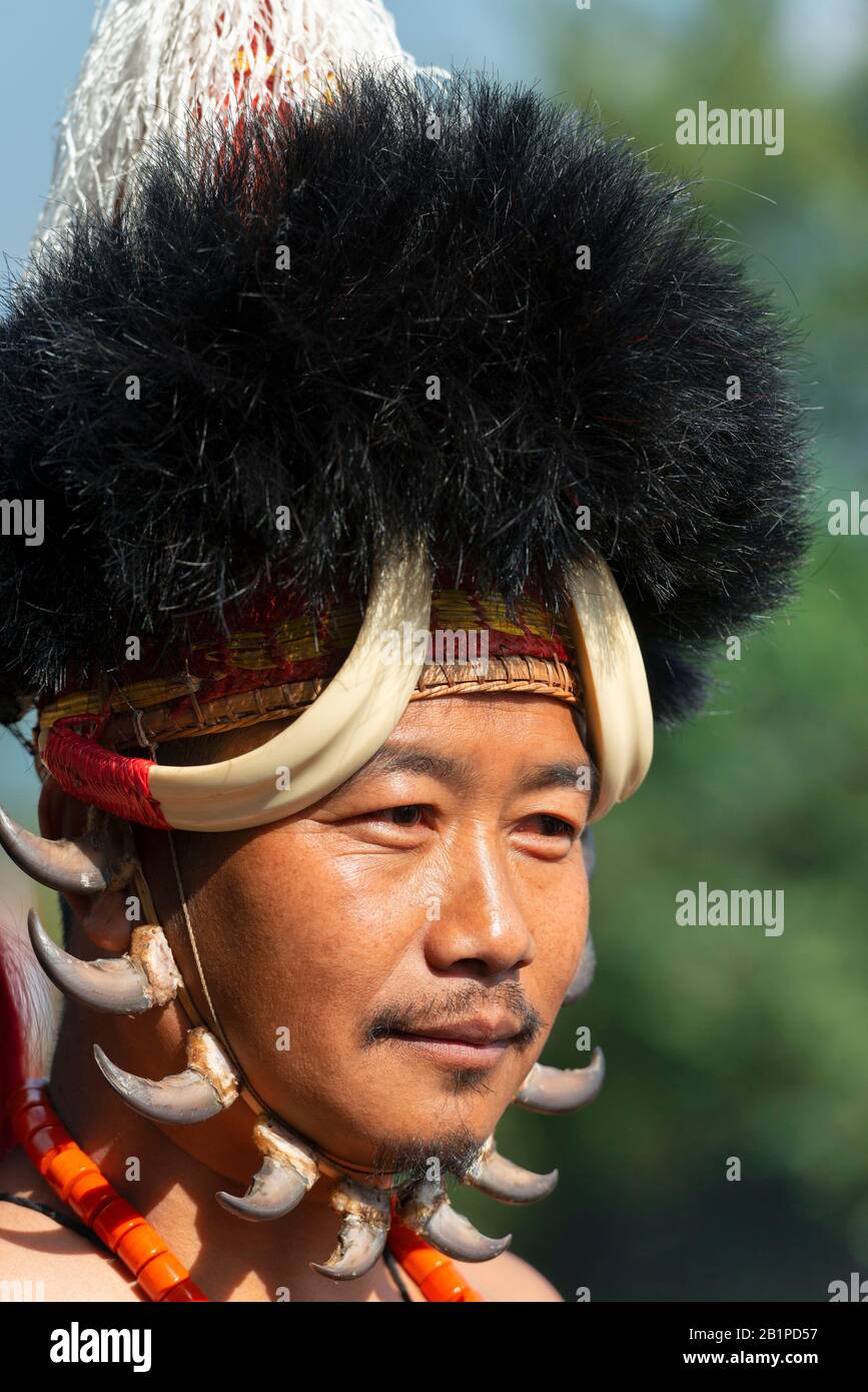 Naga tree hi-res stock photography and images - Alamy