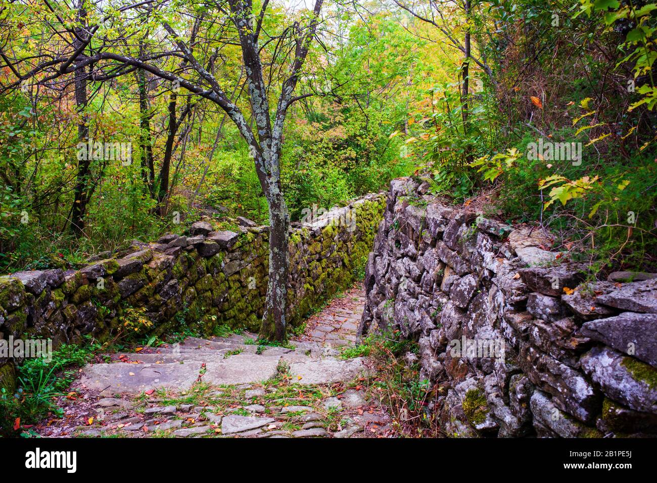 Sentiero natura hi-res stock photography and images - Alamy
