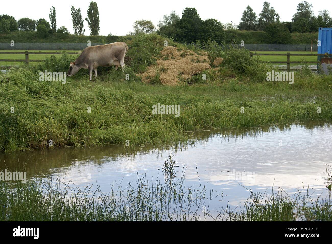 Farmer field flood damage hi-res stock photography and images - Alamy