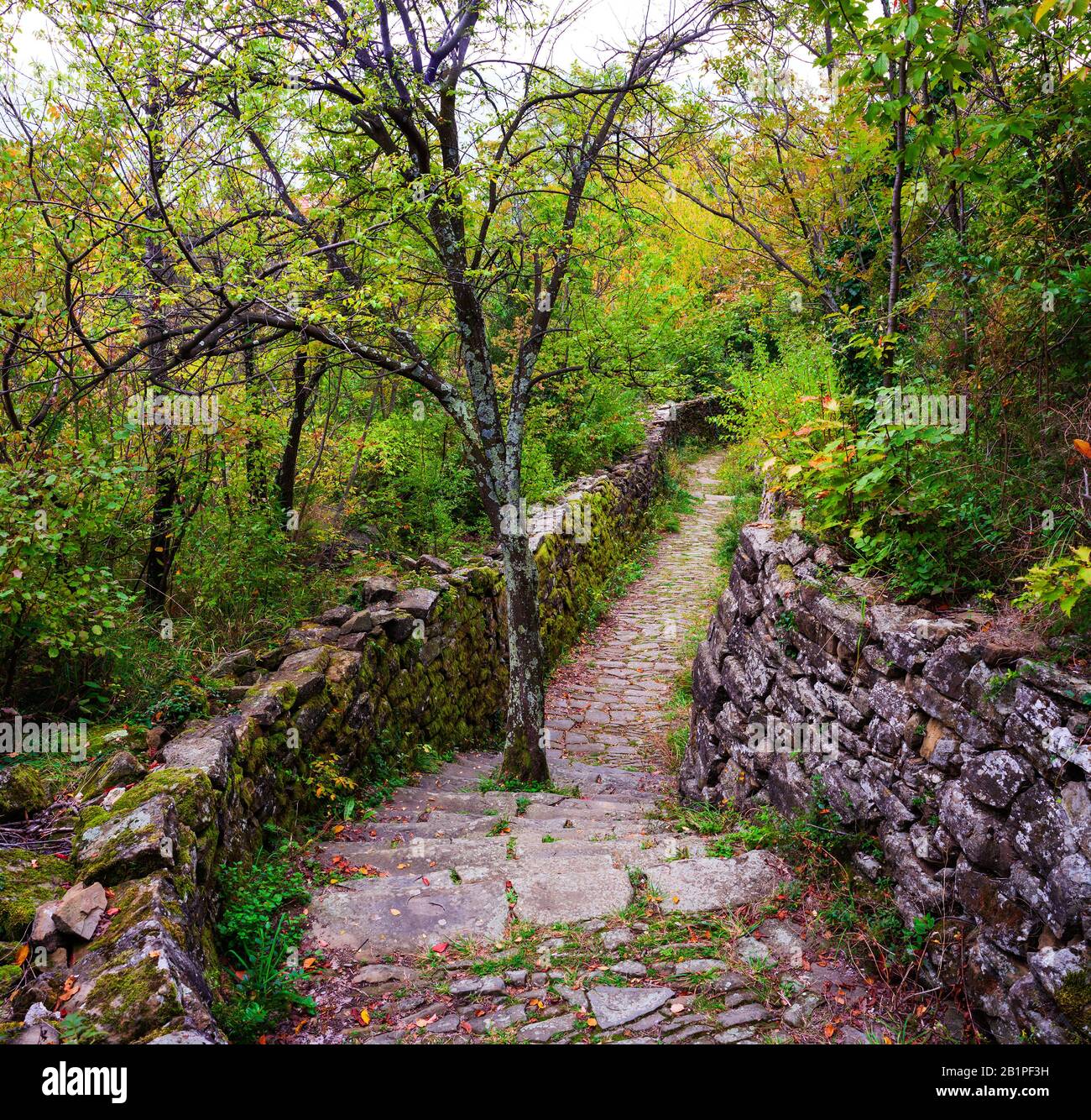 Sentiero natura hi-res stock photography and images - Alamy