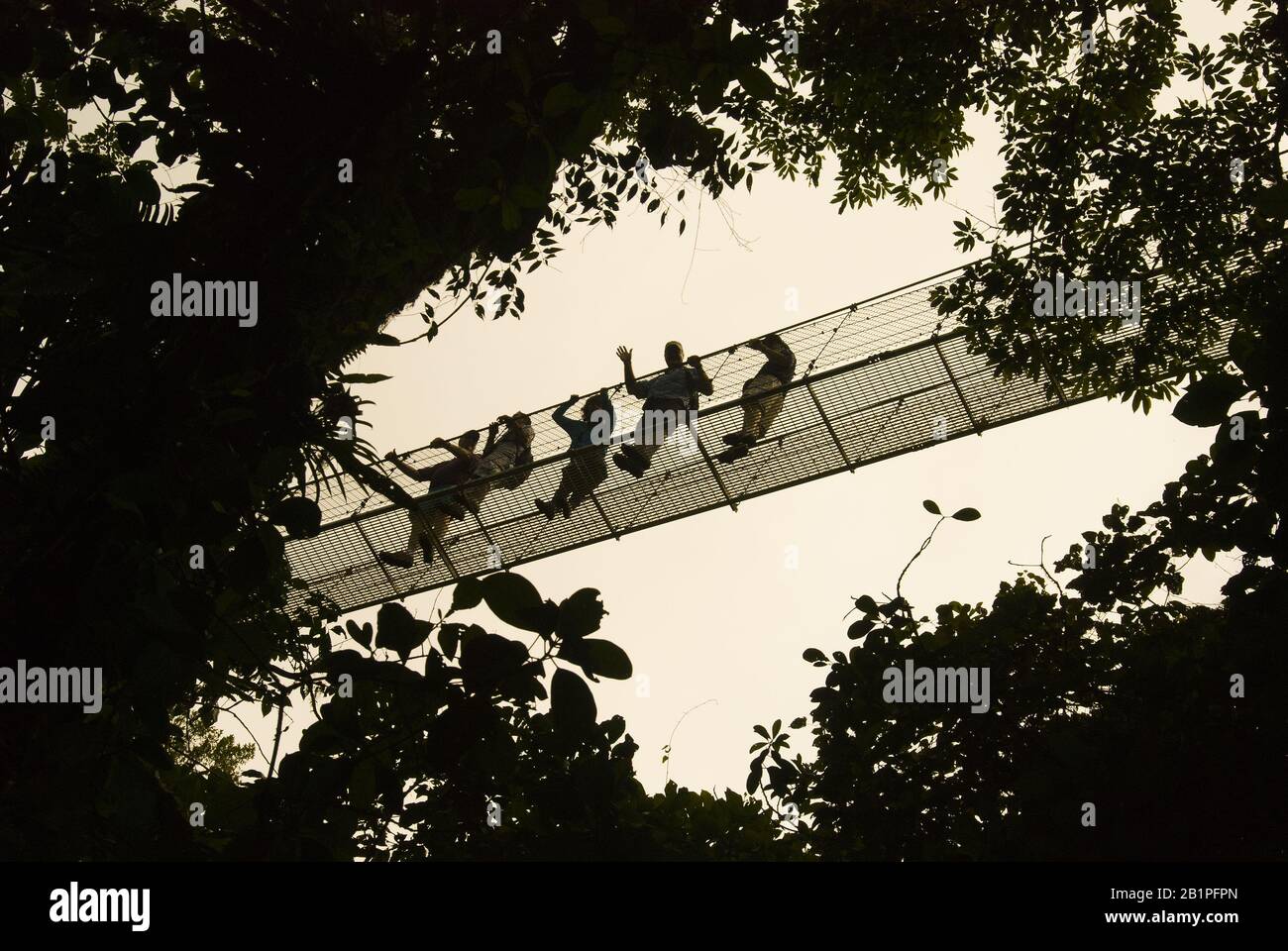 Hanging Bridges with views of the Arenal Volcano in background, Costa ...