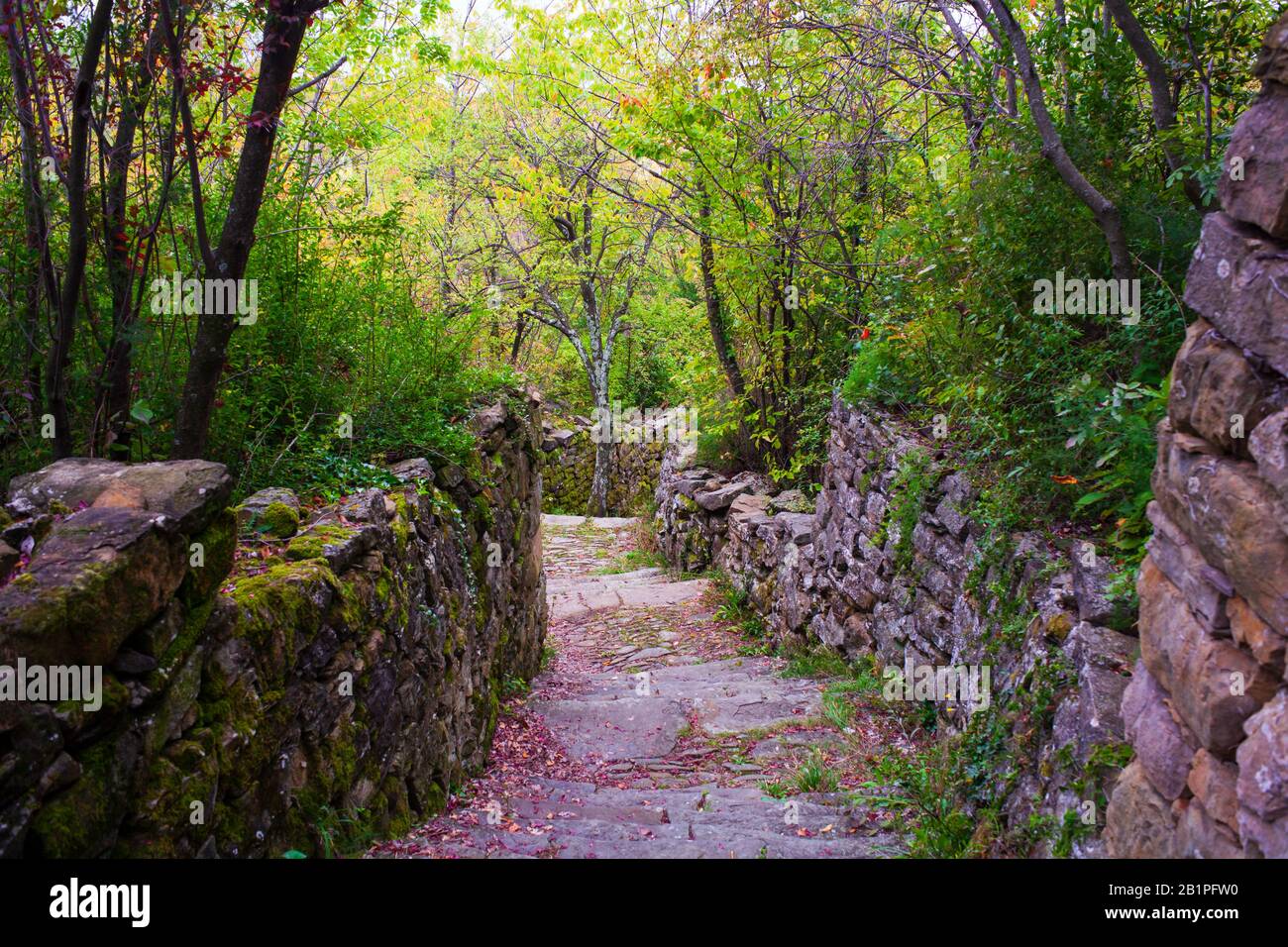 Sentiero natura hi-res stock photography and images - Alamy