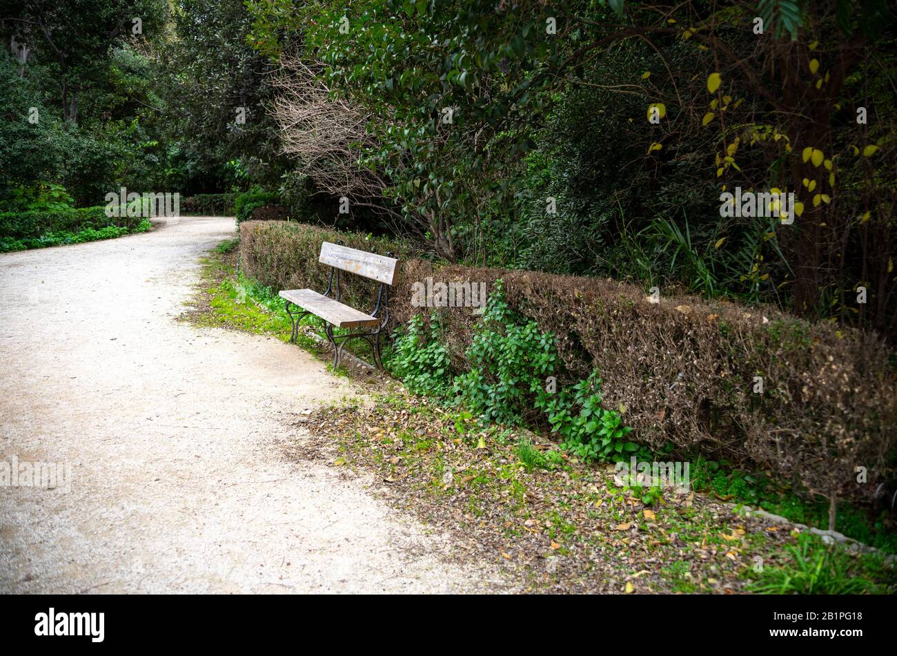 Athens, Greece, national garden path with bench near trees, vivid ...