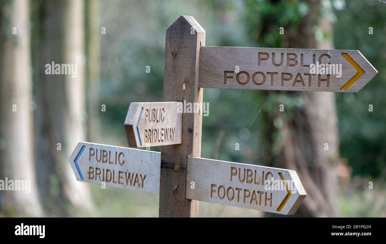 Forest Way Sussex High Resolution Stock Photography and Images - Alamy