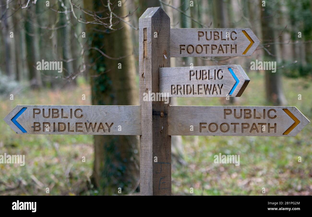 Forest Way Sussex High Resolution Stock Photography and Images - Alamy