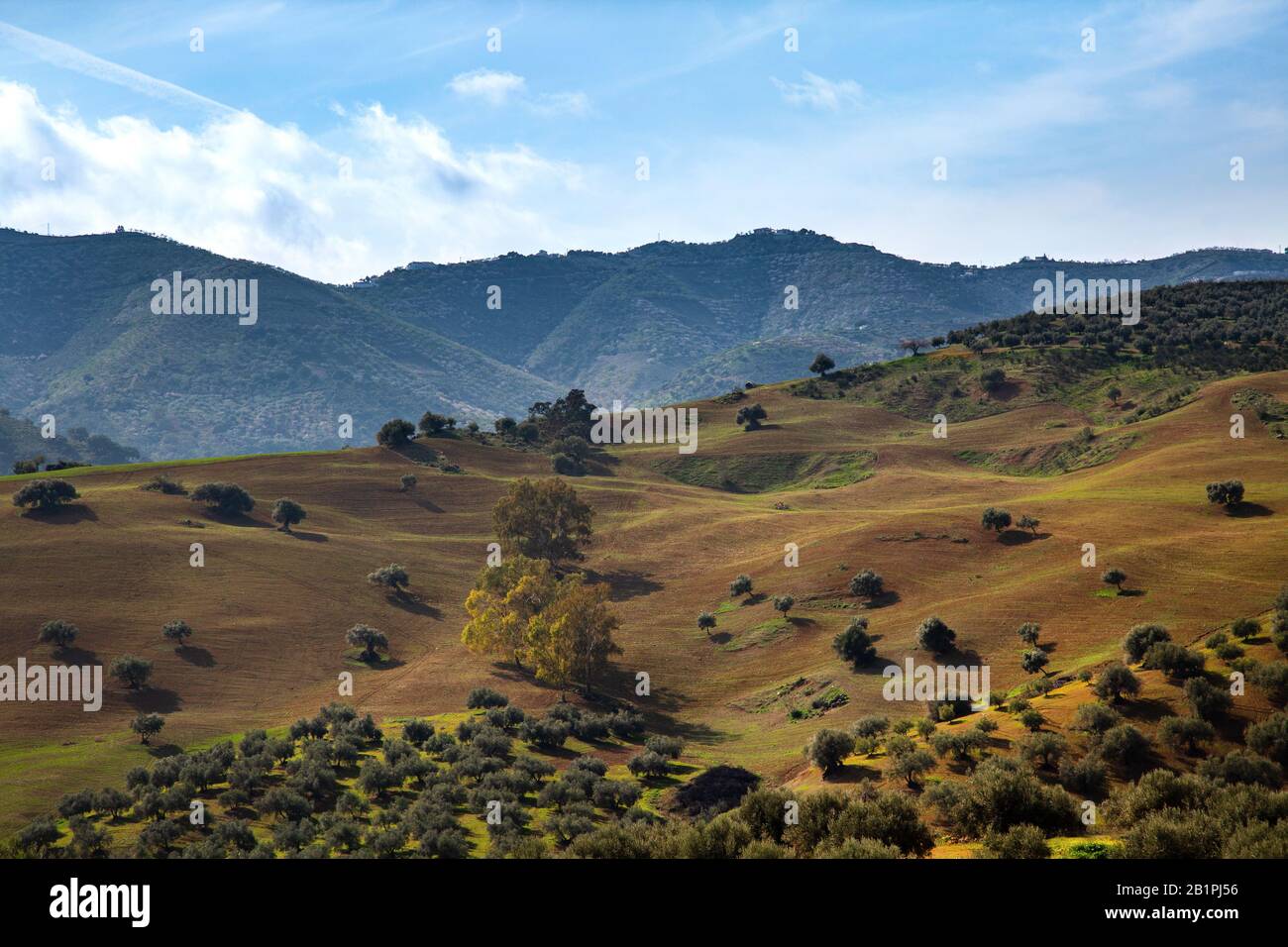 The Andalusian natural landscape near Malaga Stock Photo - Alamy