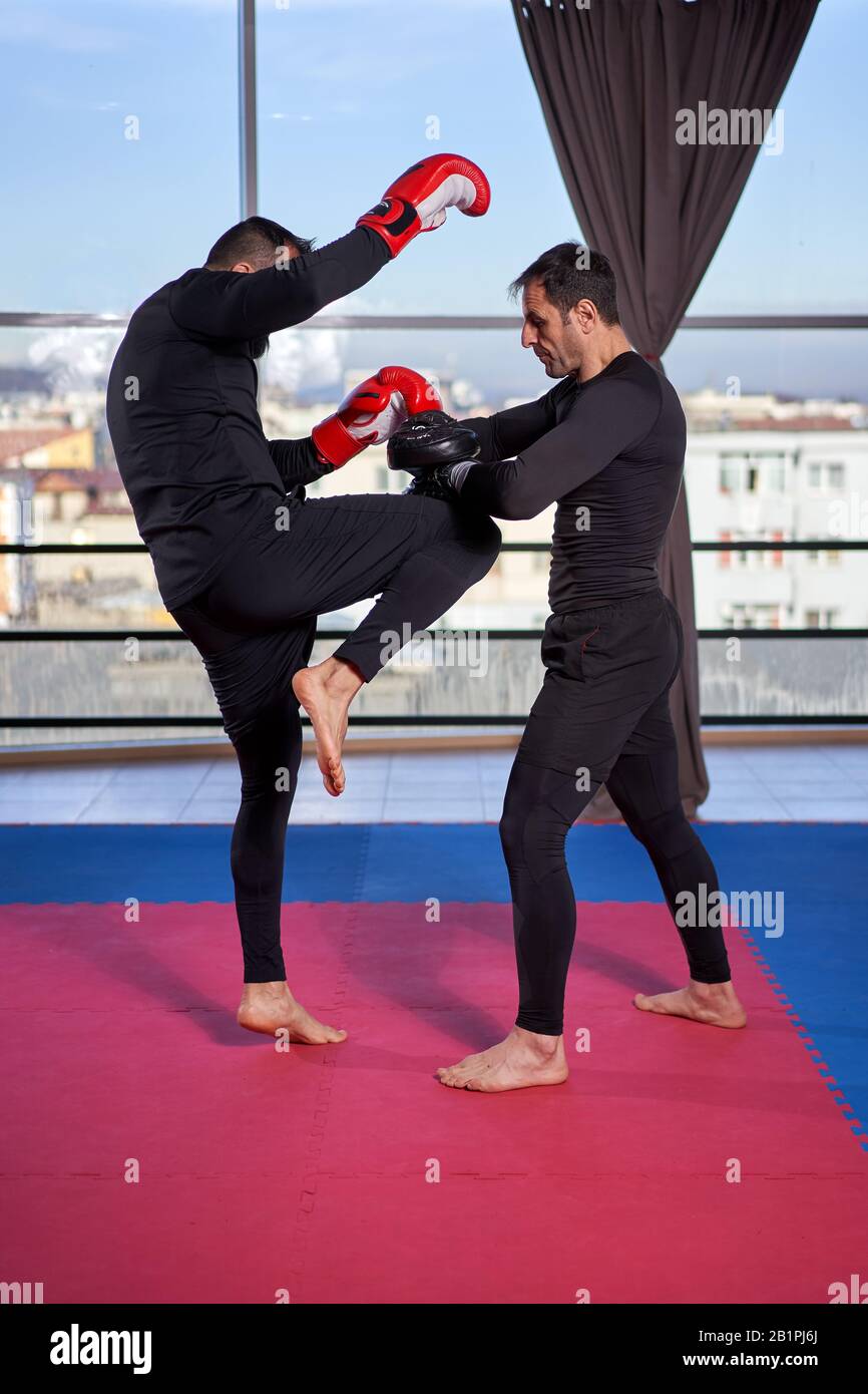 Kickboxer hitting pads with his coach in the gym Stock Photo - Alamy