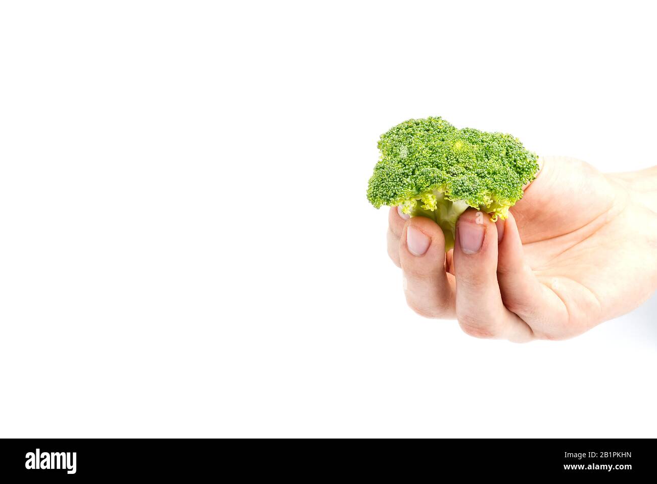 Broccoli in hand isolated on white background with copy space Stock ...