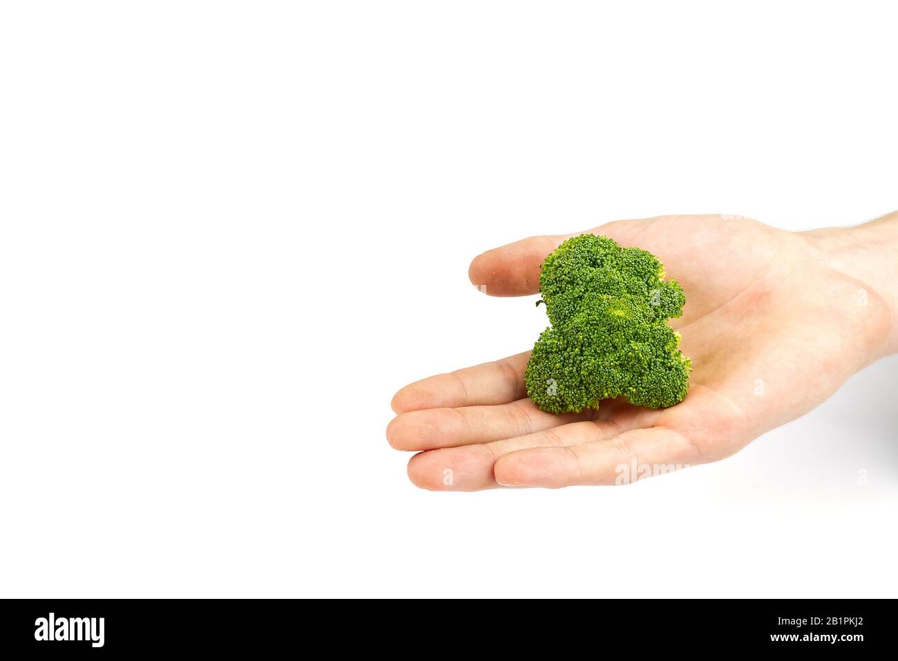 Broccoli in hand isolated on white background with copy space Stock ...