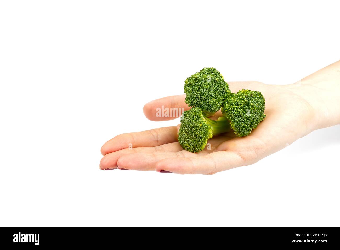 Broccoli in hand isolated on white background with copy space Stock ...