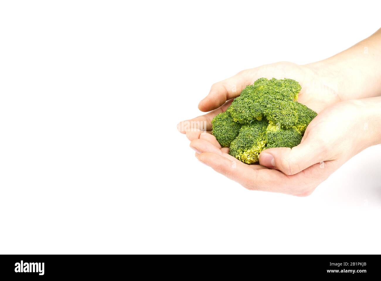 Broccoli in hand isolated on white background with copy space Stock ...